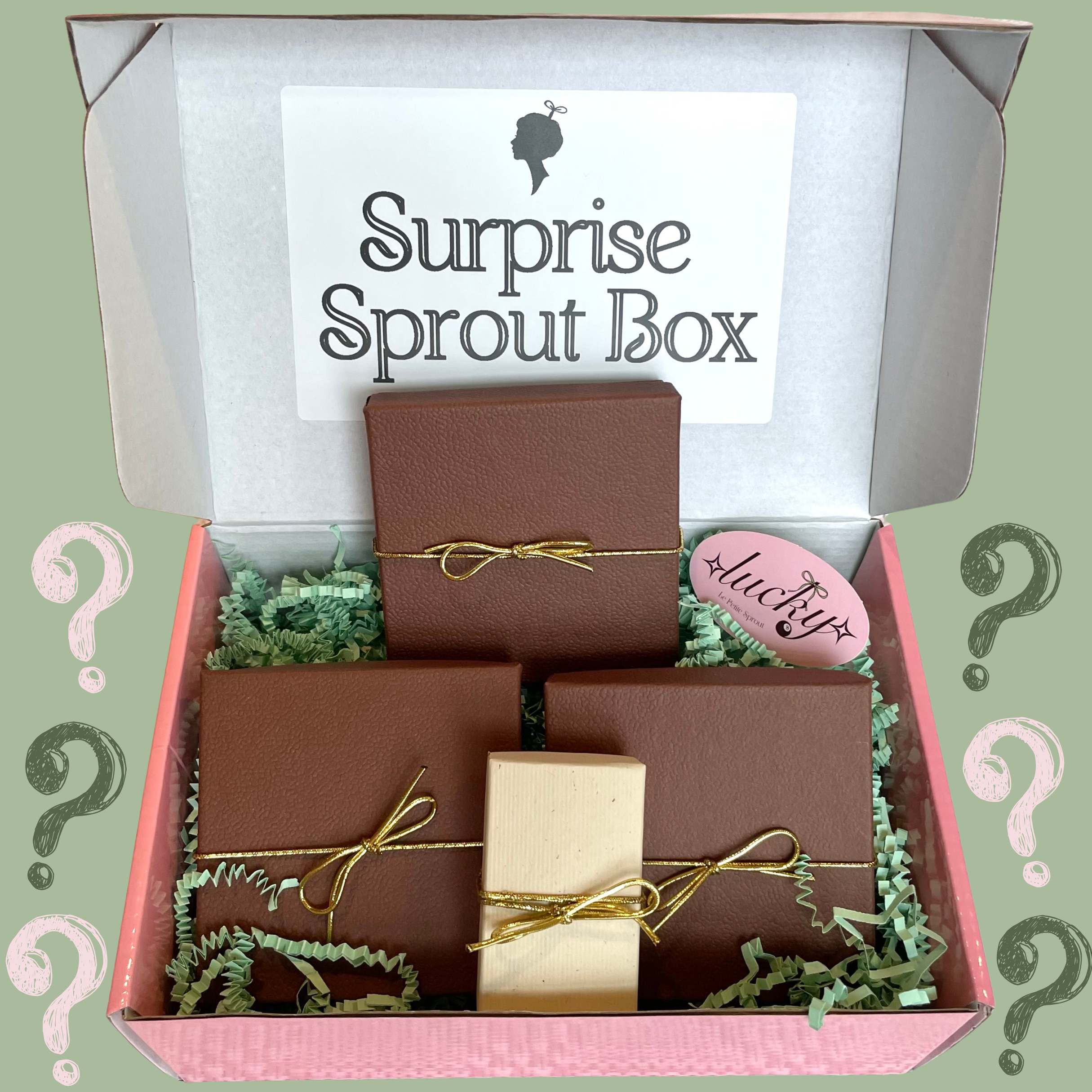 Surprise Sprout Box – Le Petite Sprout